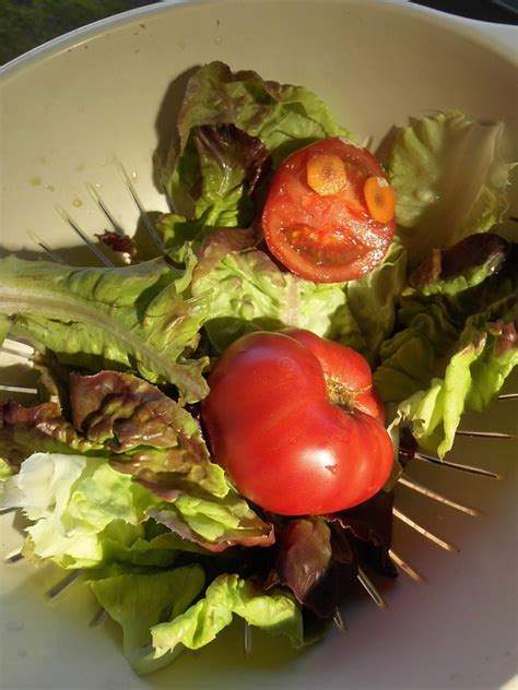 Salad Healthy Vegetables Free Photo On Pixabay Pixabay