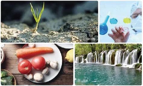 Sample Preparation For Icp Oes Methods And Considerations Drawell