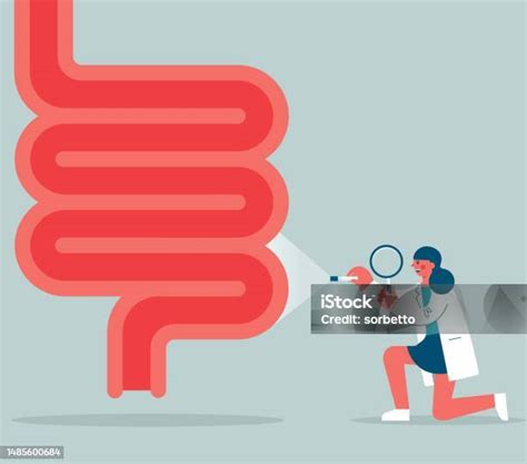 Sistem Pencernaan Kaca Pembesar Ilustrasi Stok Unduh Gambar Sekarang
