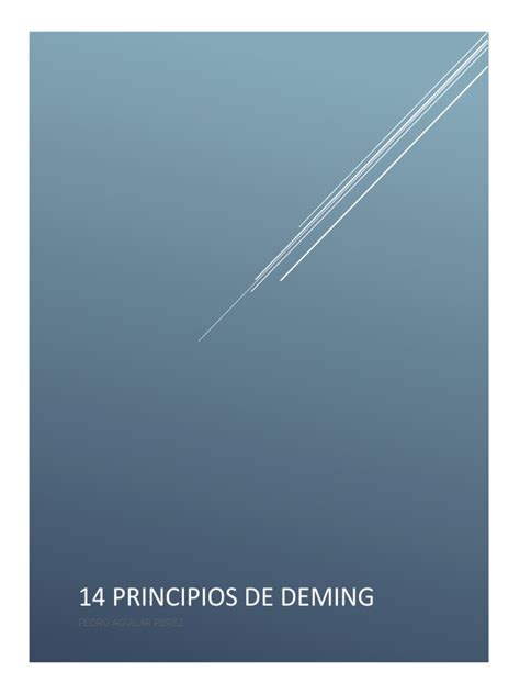 14 Principios De Deming 211010 Pdf
