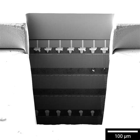 Tescan Solaris X For Semiconductors Tescan