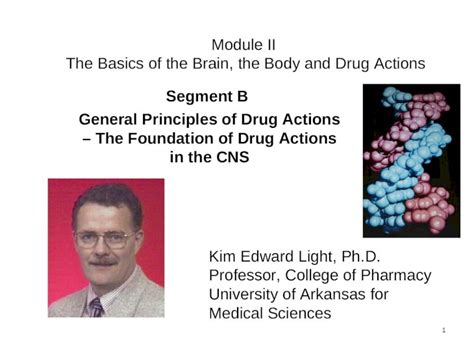 Ppt 1 Module Ii The Basics Of The Brain The Body And Drug Actions