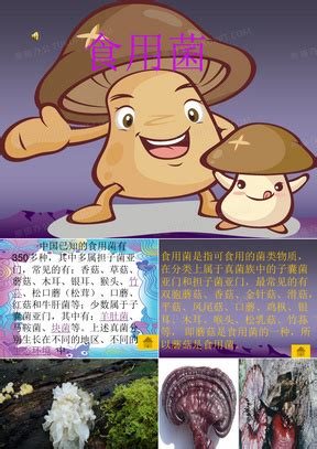 食用菌PPT模板 食用菌PPT模板下载 熊猫办公