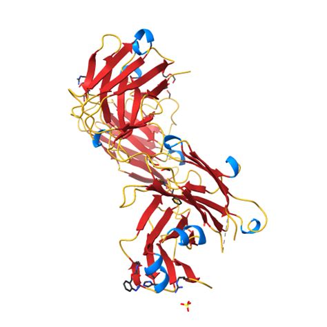 Trastuzumab Structure