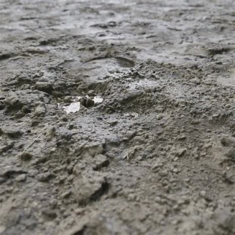 80 Level On Linkedin Blender Blender3d B3d Blendercommunity