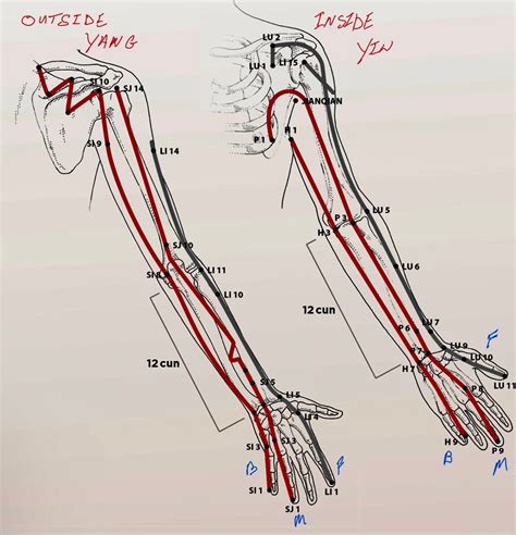 Gordon Wallis On Linkedin Matrix Algorithm Number 1 For Lower Back…