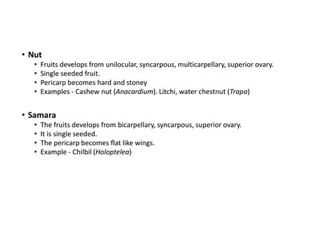 Types Of Fruit And Its Classifications Without Diagrams Ppt