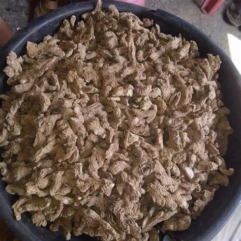 Sonth Ginger Dry White At ₹ 100 Kg In Indore Id 2853479898830