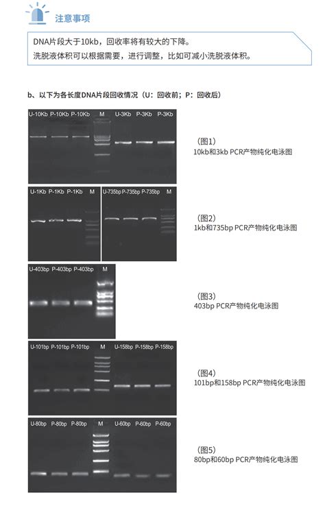 杭州博日科技股份有限公司