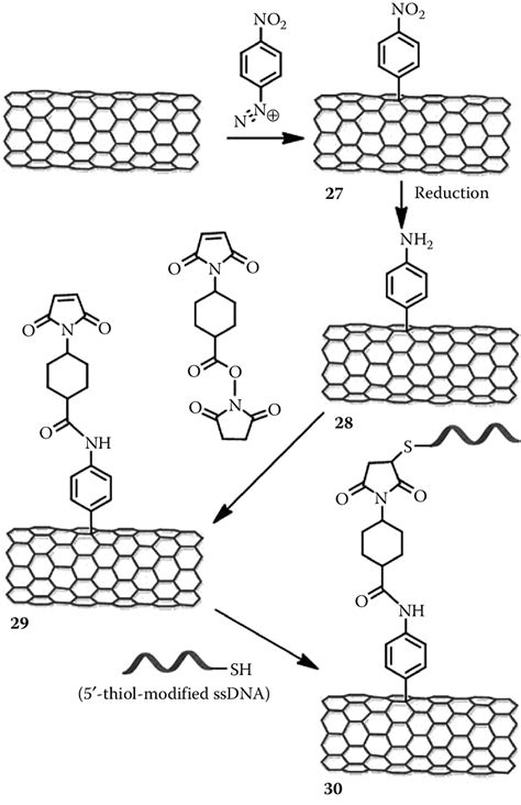 25 Covalent Binding Of Biomolecules Bearing Thiol Group Eg Download Scientific Diagram