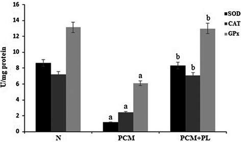 Effect Of Pl On The Enzymatic Antioxidant Activities Of Sod Cat And