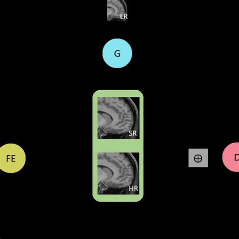 Semantic Diagram Of Our Network During Training The Discriminator Download Scientific Diagram