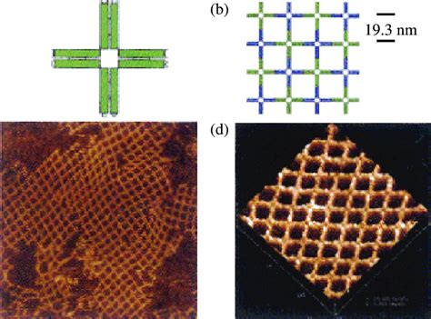 self assembly of 2 d nano grids with corrugated design a schematic