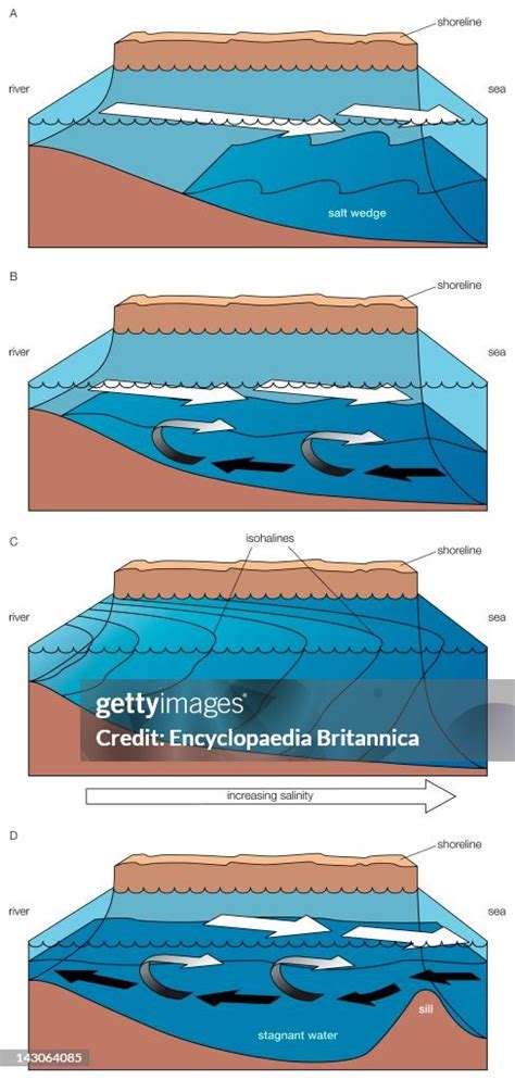 A Salt Wedge Estuary B Partially Mixed Estuary C Vertically