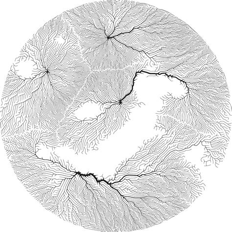 Wide Big Data Visualization Machine Learning Algorithm For Information