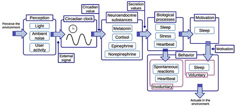 Biomimetics Free Full Text Adaptive Circadian Rhythms For Autonomous And Biologically