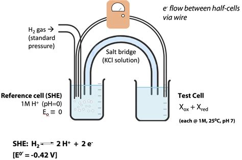 Redox Reactions Review Bioc Introduction To Biochemistry