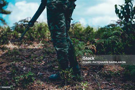 군인 라디오를 사용 하는 그리고 국경 숲에서 군사 작전 간의 통신에 대 한 지도 사용 하 여 가디언 가상현실에 대한 스톡 사진 및 기타 이미지 Istock