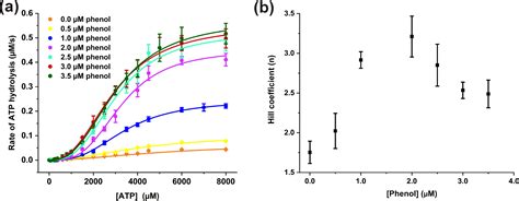 Atp Hydrolysis Graph Atp Binding And Hydrolysis By The Multifunctional