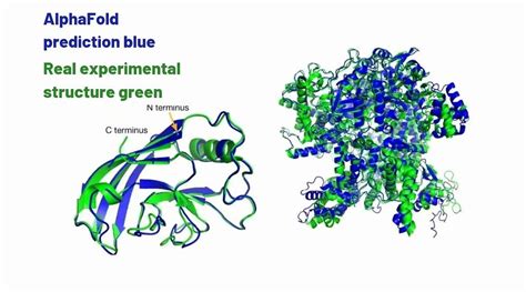 Solution To The Protein Folding Problem With Artificial Intelligence