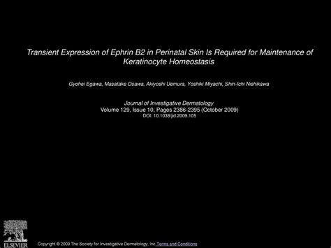 Transient Expression Of Ephrin B In Perinatal Skin Is Required For Maintenance Of Keratinocyte