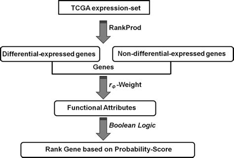 Ranking Genes In A Boolean Logic Framework Schematic Representation Of