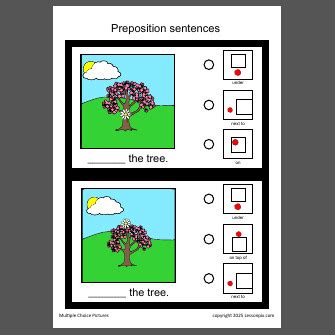 Preposition Sentences