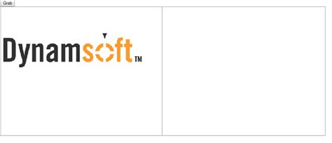 用 dynamsoft camera sdk 实现网页中拍照