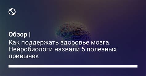 5 привычек для улучшения работы мозга Новости Украины
