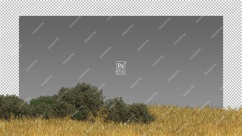 Premium Psd Dry Grass Field Isolated Dry Grass Clipping Path Yellow Grass