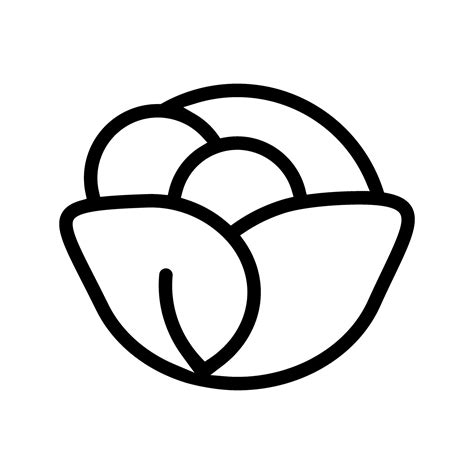 Cabbage Icon Vector Vegetables Illustration Sign Food Symbol