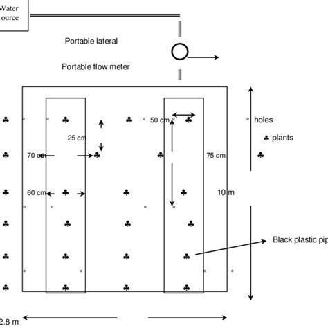 The WP Experimental Sub Plot Not To Scale Download Scientific Diagram