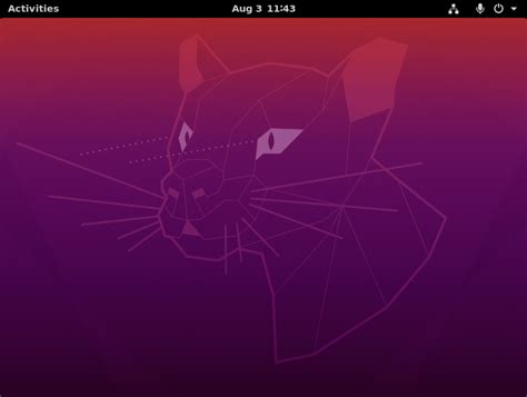 Running Gui On Linux Posetke