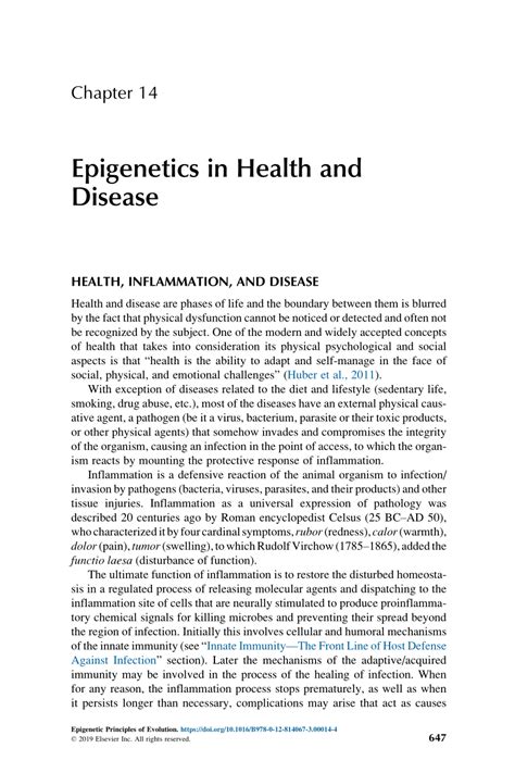 Epigenetics Fundamentals History And Examples What Is
