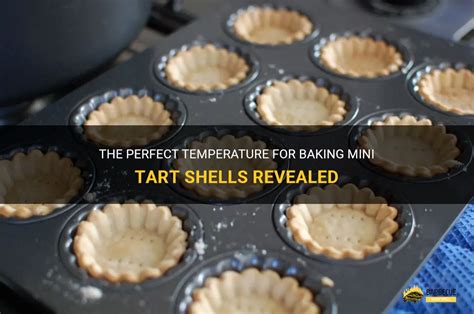 The Perfect Temperature For Baking Mini Tart Shells Revealed Shungrill