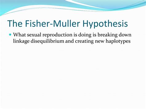 PPT Chapter Evolution Of Sex PowerPoint Presentation Free