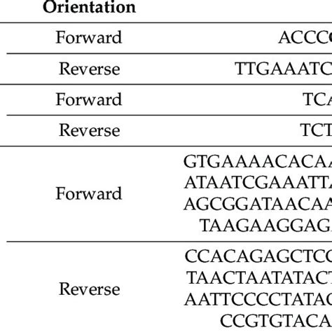 Primers Used In The Experiment Download Scientific Diagram