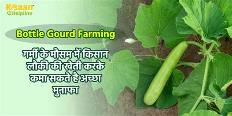 Bottle Gourd Farming गर्मी के मौसम में किसान लौकी की खेती करके कमा