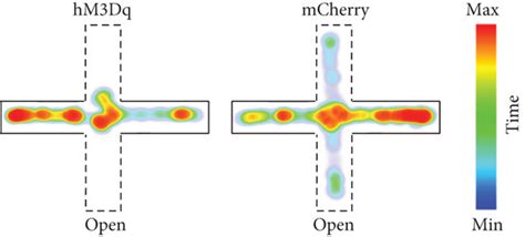 Activation Of Gq Pathway In Vmh Astrocytes Increases Anxiety Like