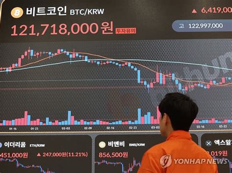한국 성인 절반이 경험한 가상자산비트코인·이더리움 투자 현황은