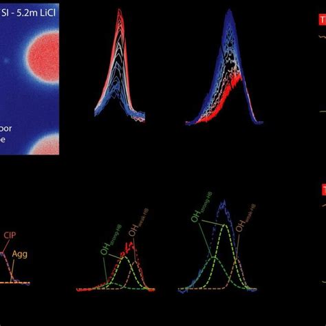 Raman Imaging Across The Interface Of The 5m Litfsi 10m Hcl System A