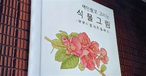 이혜원 고수의 미술회화 레슨 서비스 울산 남구 숨고 숨은고수