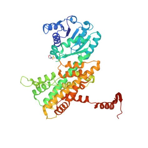 Rcsb Pdb 4gwg Crystal Structure Analysis Of 6 Phosphogluconate Dehydrogenase Apo Form