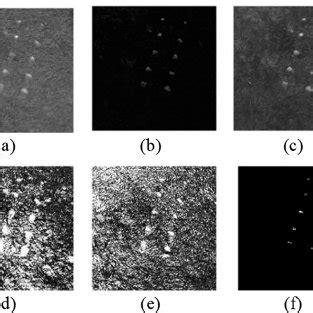 Flowchart Of The RFML Algorithm For HSI Target Detection Download Scientific Diagram