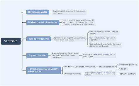 FUNDAMENTO CONCEPTUAL VECTORES XMind Mind Mapping Software