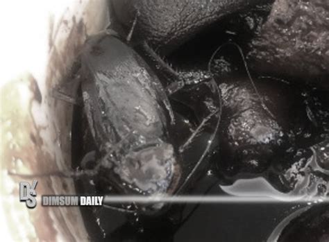 Giant Cockroach Found In Pork Knuckle And Ginger Stew In Restaurant In