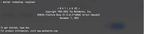 Error Running On MacOS Issue 13 Shinyypig Matlab In Vscode GitHub