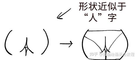 【绘画教程】屁股臀部怎么画？教你轻松装完臀部的画法教程！ 知乎