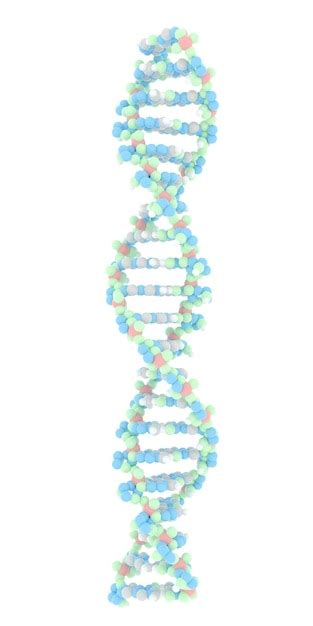 Premium Photo Isolated Dna On White Background