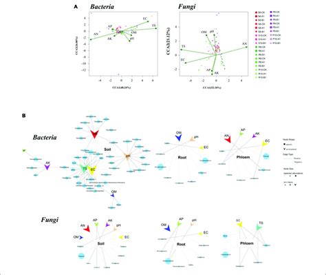 Canonical Correspondence Analysis Cca And Correlation Analysis